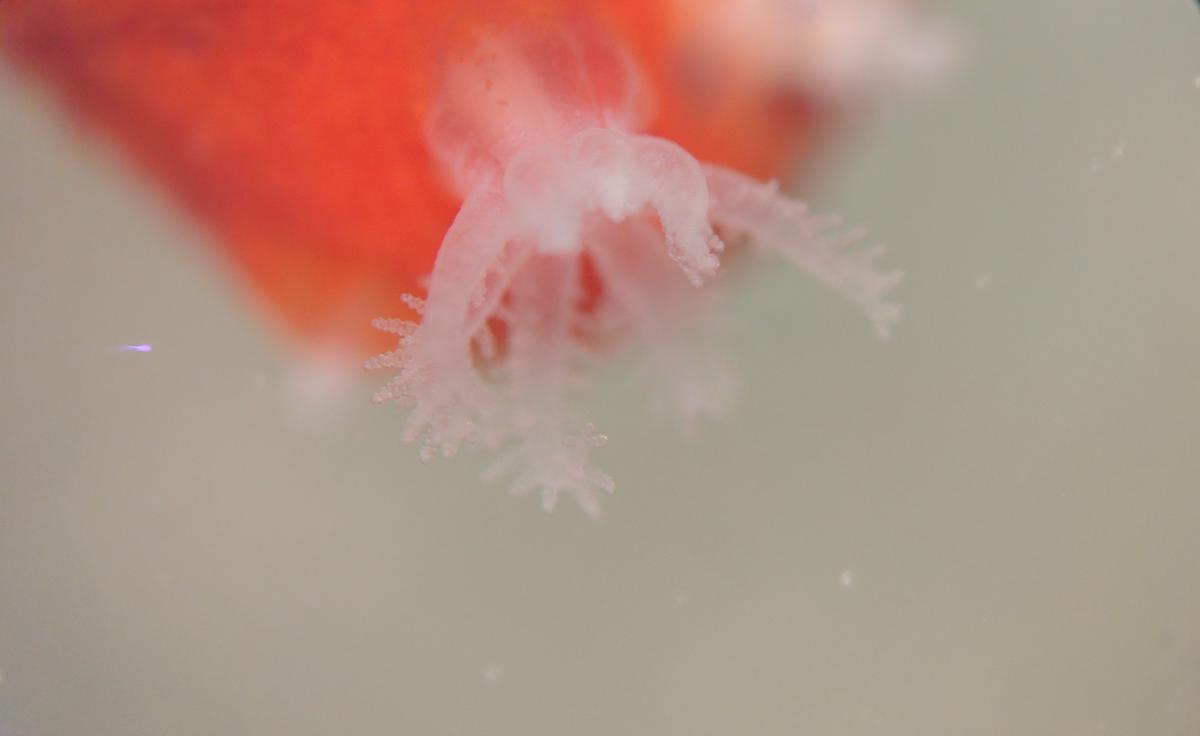 Wowchemy Research Group